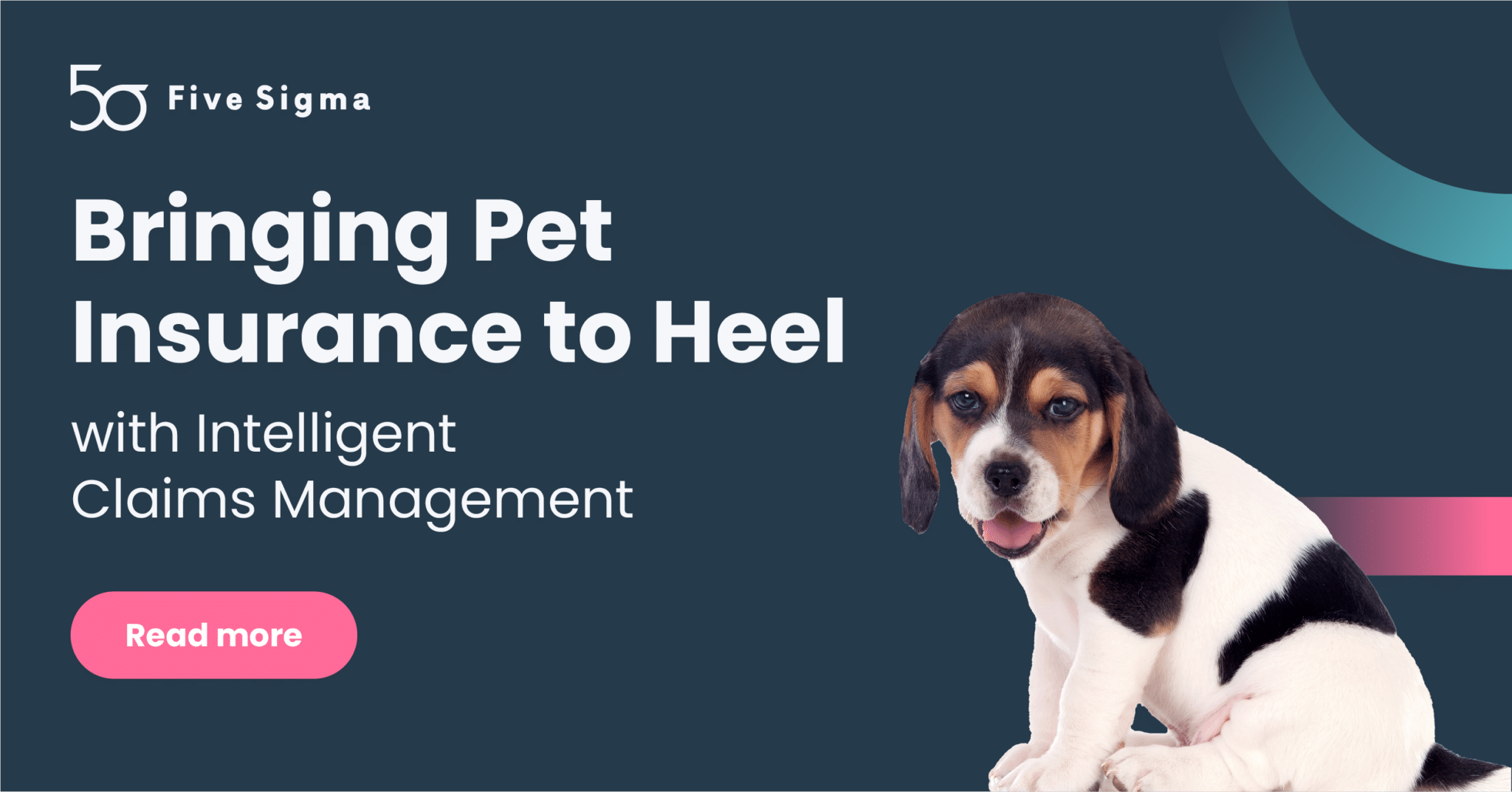 Intelligent Claims Management - Pet Insurance | Five Sigma